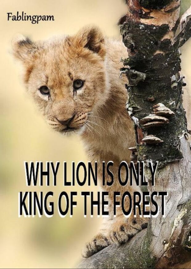 Why Lion is Only King of The Forest - Nigerian Folktale - FablingVerse